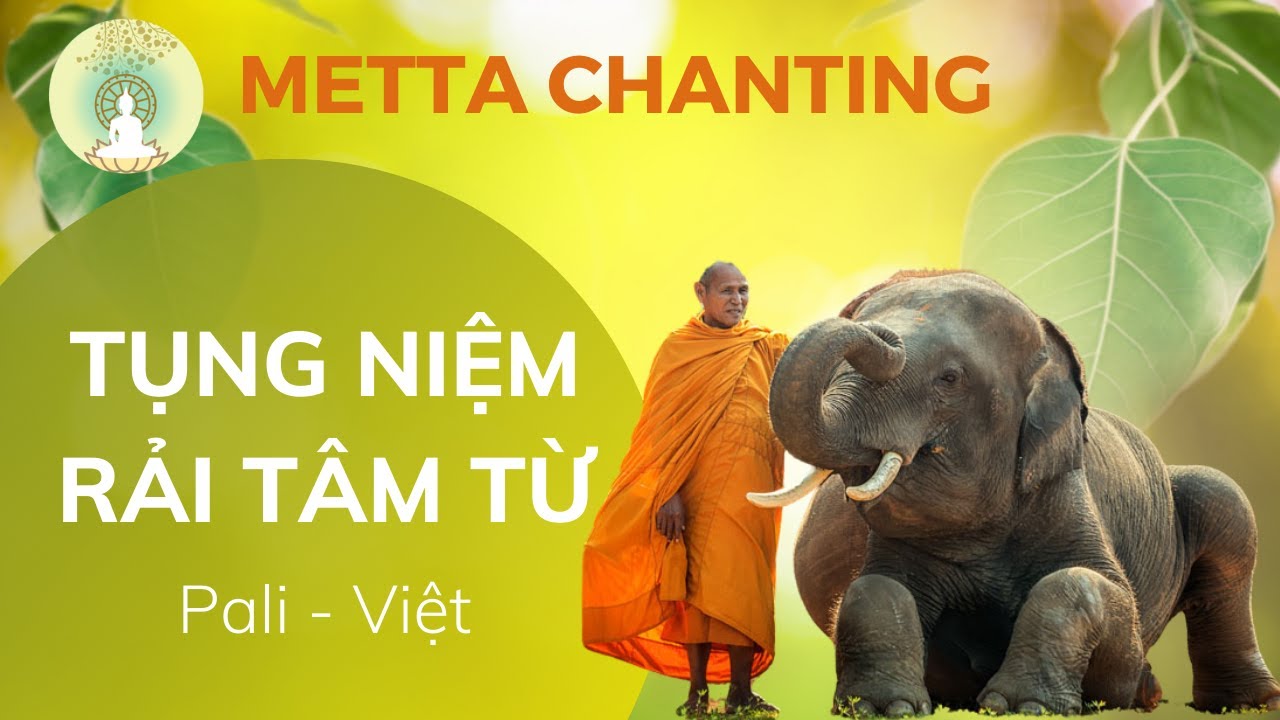 Kinh Rải Tâm Từ Metta Chanting - Nguyễn Minh Phụng